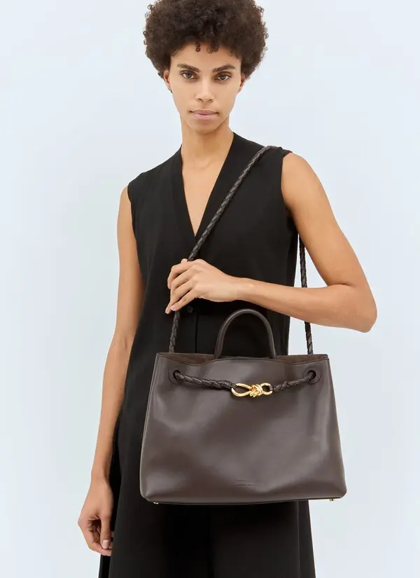 Bottega Veneta Medium Andiamo Handbag