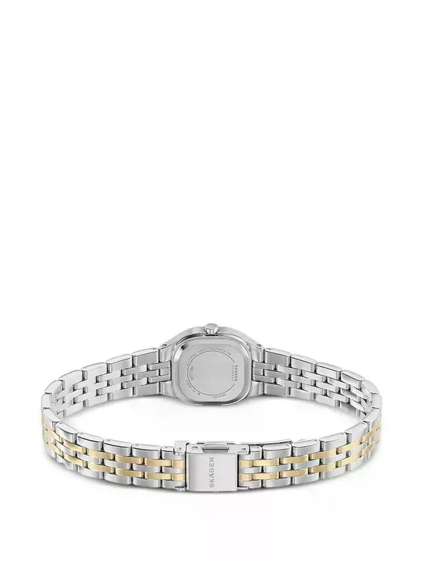 Skagen Mellem Two-tone Link Watch