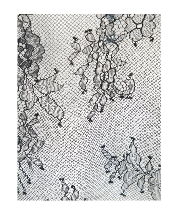 Alberta Ferretti Sleeveless Lace Top