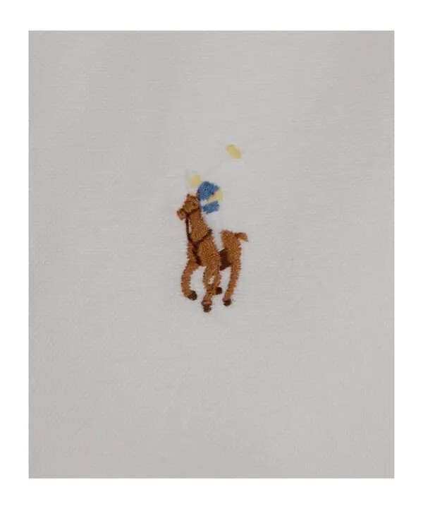Polo Ralph Lauren Classic Fit Oxford Shirt With Embroidered Pony