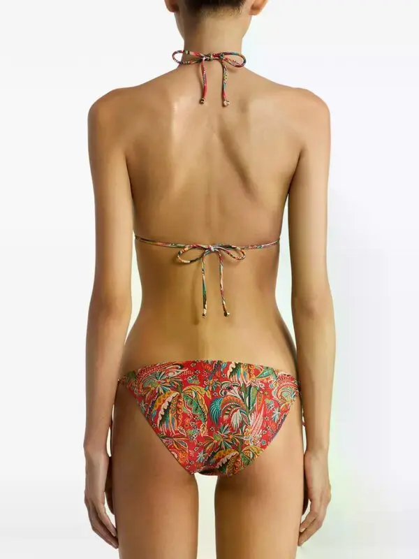 Etro Paisley-print Foliage-motif Bikini