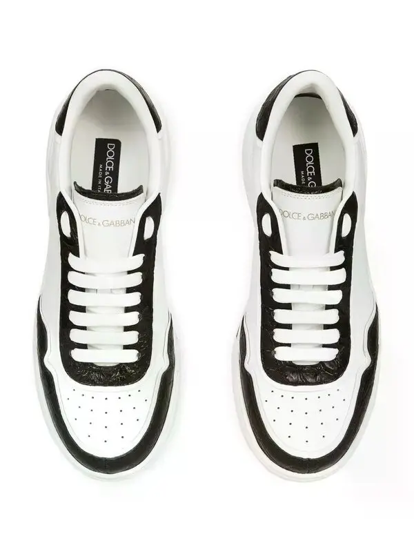 Dolce & Gabbana New Roma Panelled Sneakers