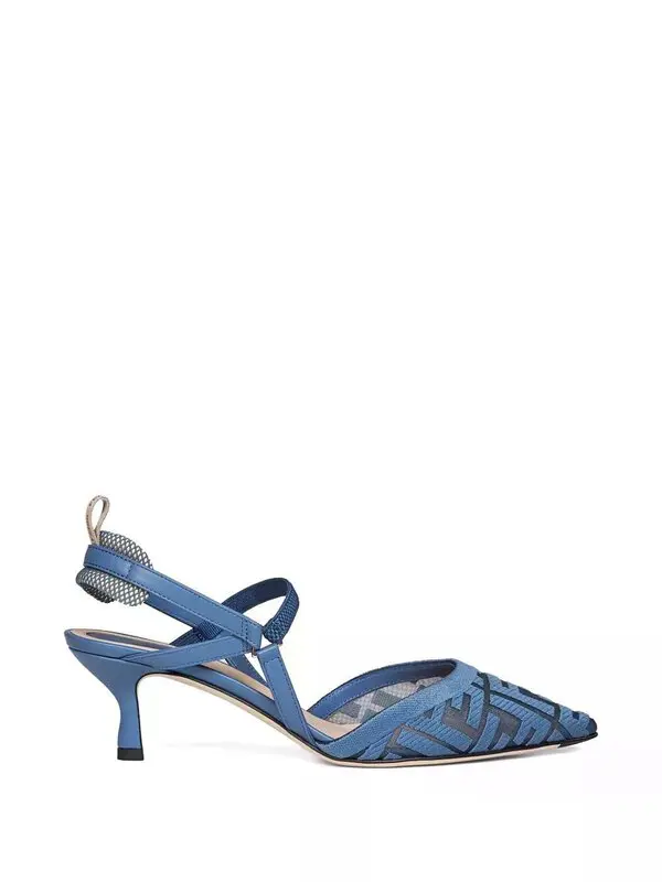 Fendi Colibrì Lite Ff-embroidered Pumps