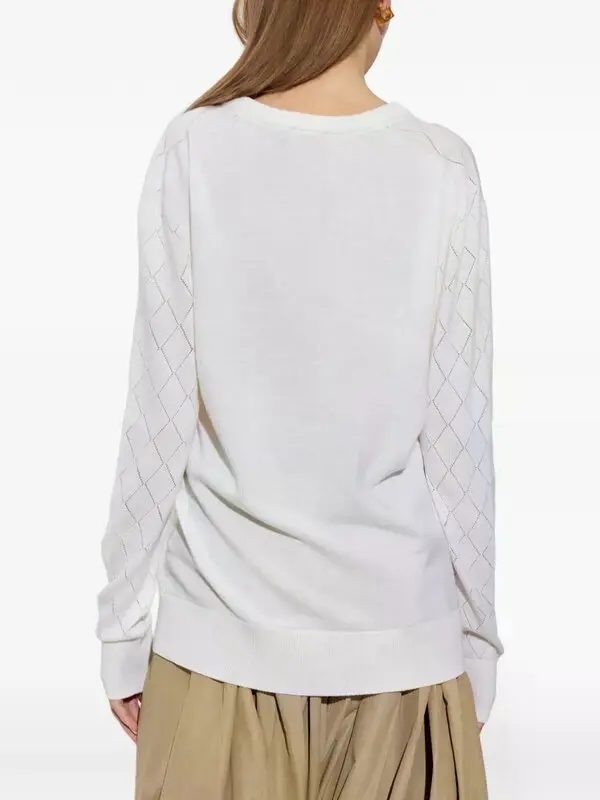 Balmain Pointelle Knit V-neck Sweater