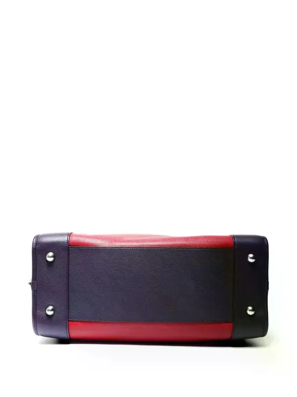 Loewe Amazona 36 Handbag