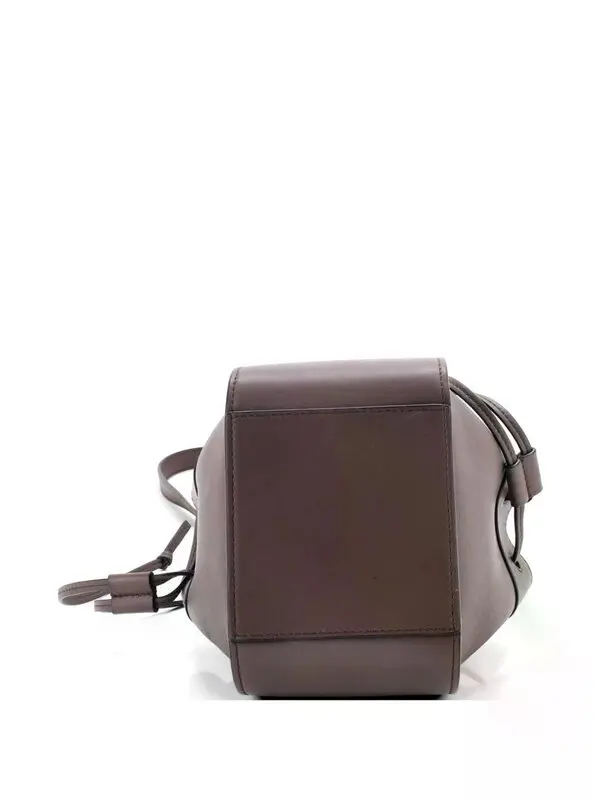 Loewe Hammock Bag Leather Mini Hobo Bag