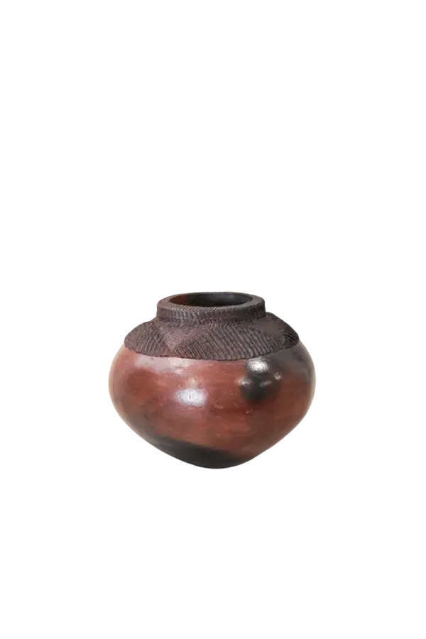 Botanical Boys Zulu Pot Six Eight
