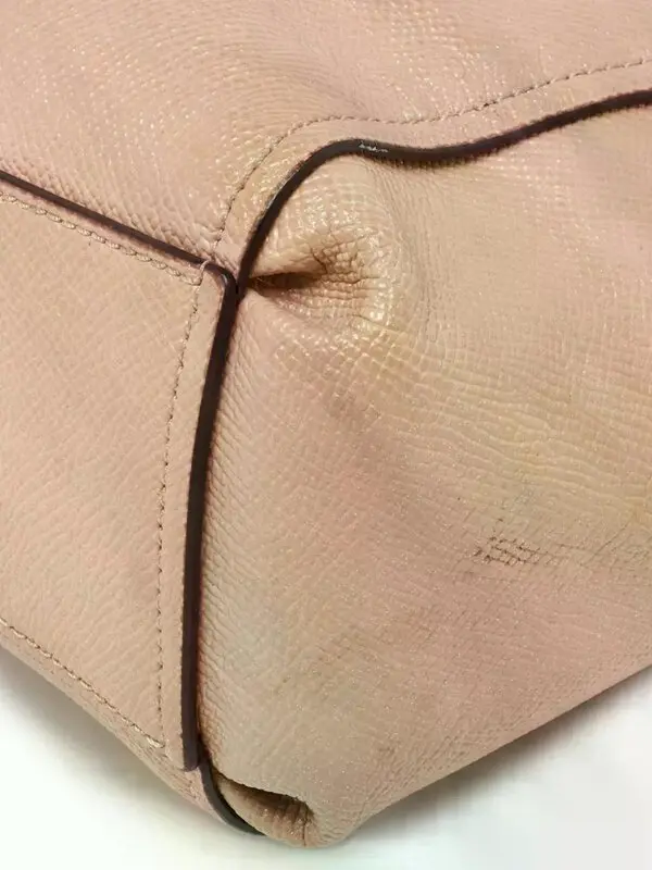 COACH Brooke Carryall Handbag