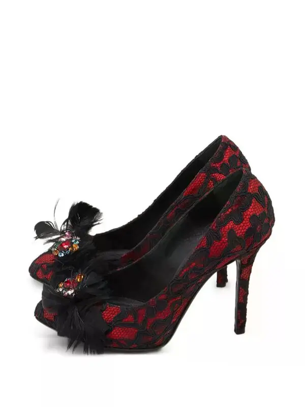 Dolce & Gabbana Feather Crystal Embellished Lace Pumps