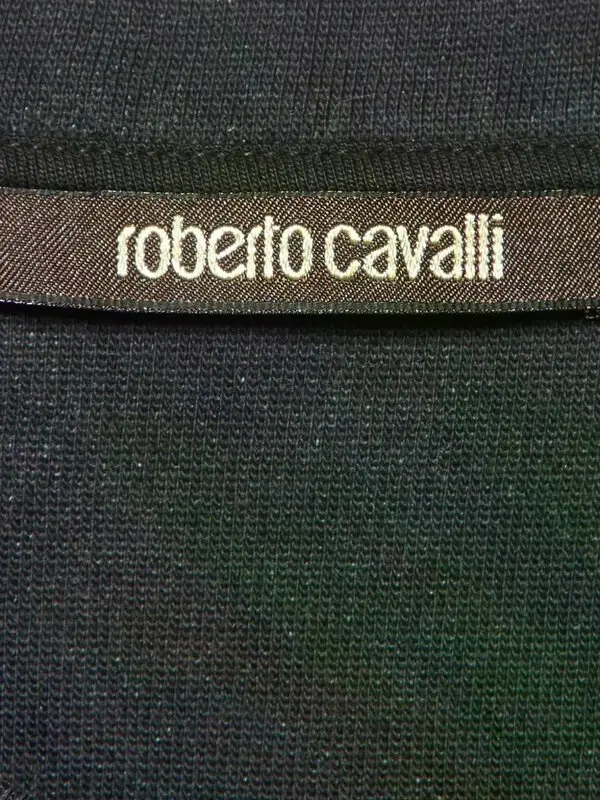 Roberto Cavalli Embroidered Motif Printed Sweatshirt