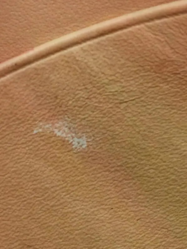 Gucci Ophidia Horsebit Handbag