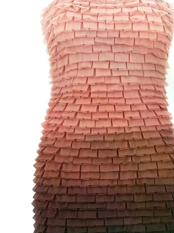 Elisabetta Franchi Ruffled Organza Mini Dress