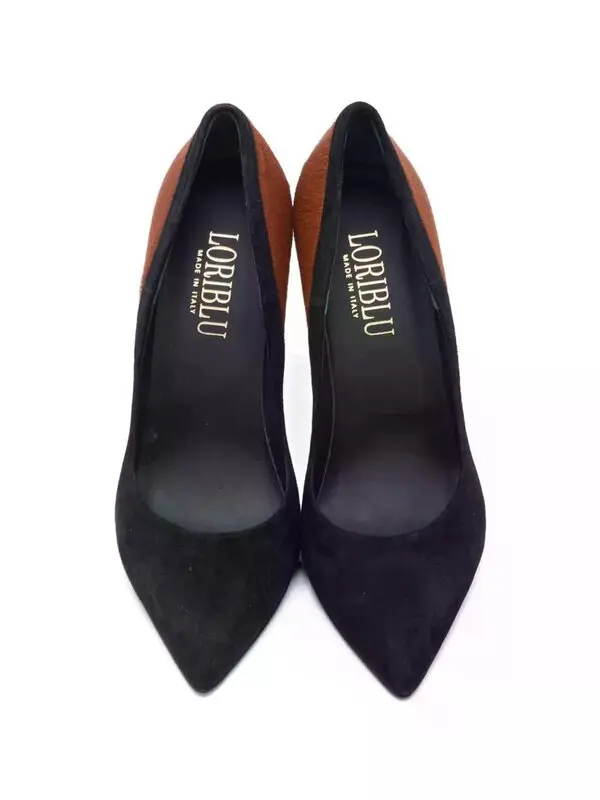 LORIBLU Pointed Toe Stiletto Pumps