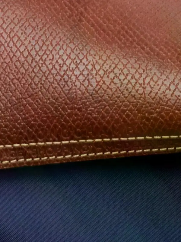 Longchamp Le Pliage Leather Flap Tote Bag