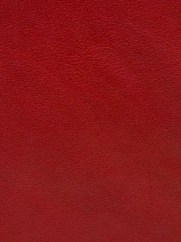 Burberry Zip-around Leather Ipad Case