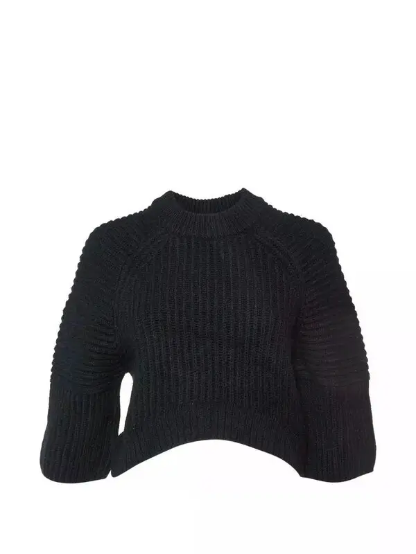 Balenciaga Ribbed-knit Crew Neck Sweater - Black