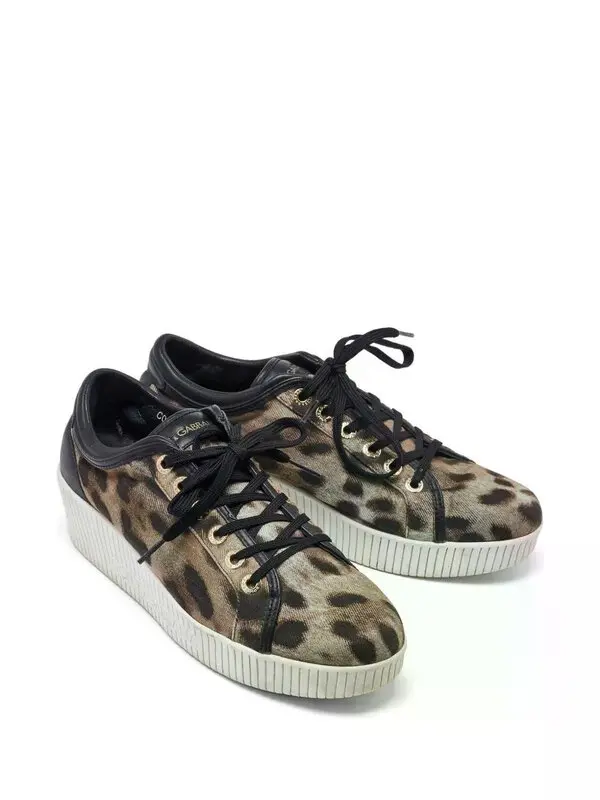 Dolce & Gabbana Leopard-print Platform Sneakers
