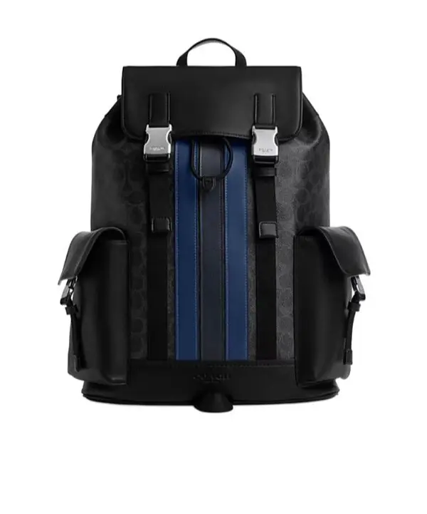 COACH Striped Pattern Backpack - Silver Metal Fittings/mixed Black