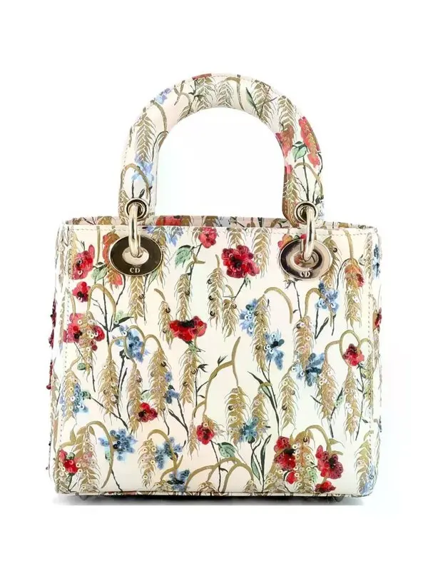 Dior Lady Satchel - Multicolour