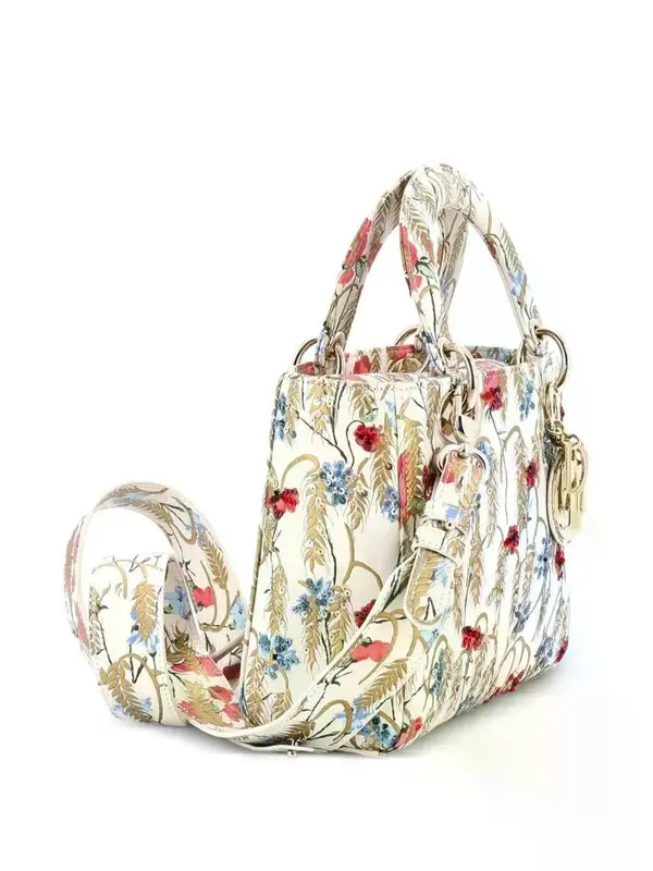 Dior Lady Satchel - Multicolour