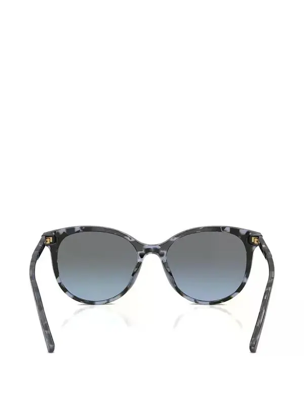 Dolce & Gabbana Round-frame Sunglasses