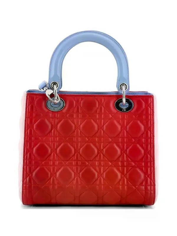 Dior Lady Satchel Bag - Multicolour