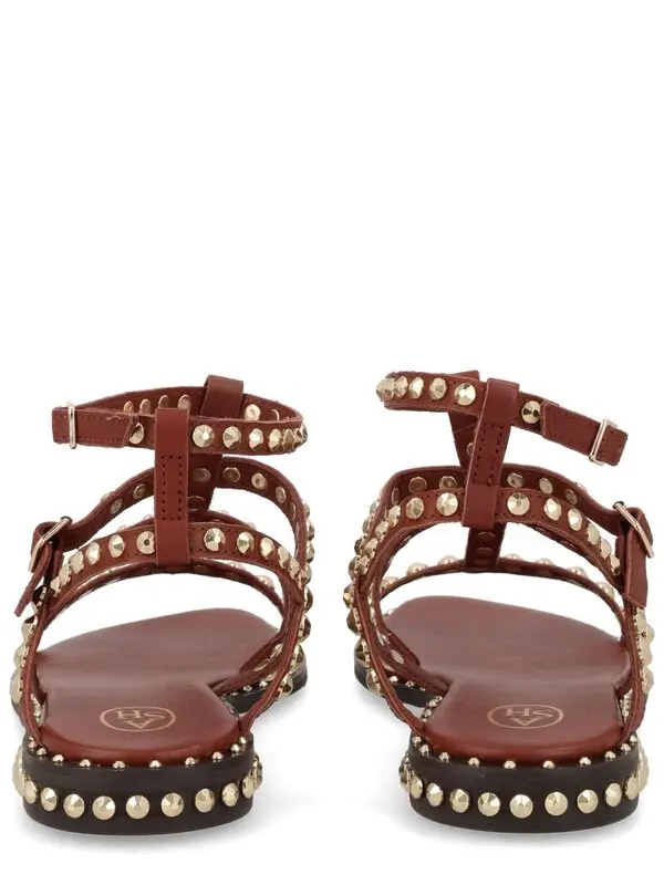 Ash Gladiator Sandals - Brown