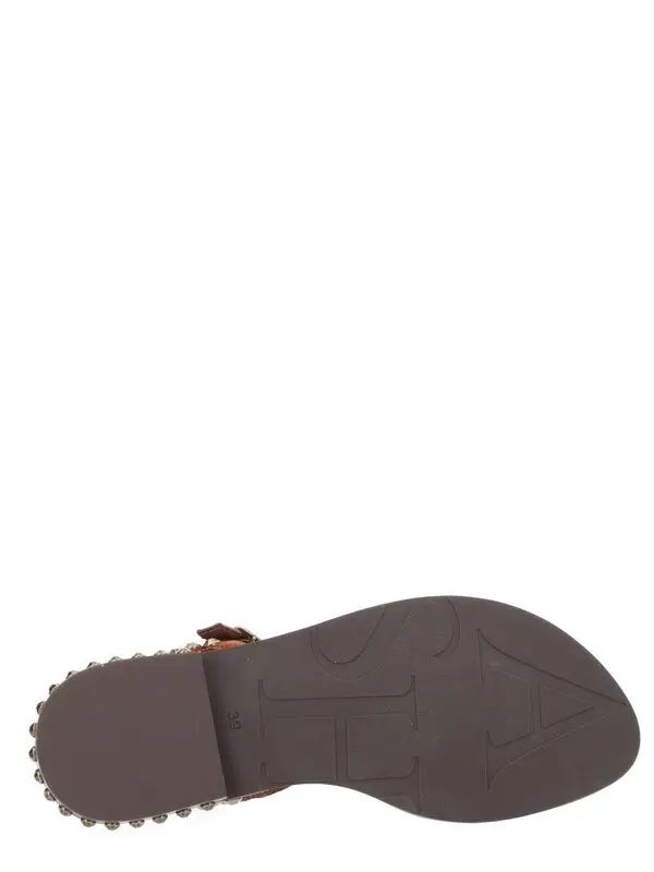 Ash Studded Leather Gladiator Sandals - Brown