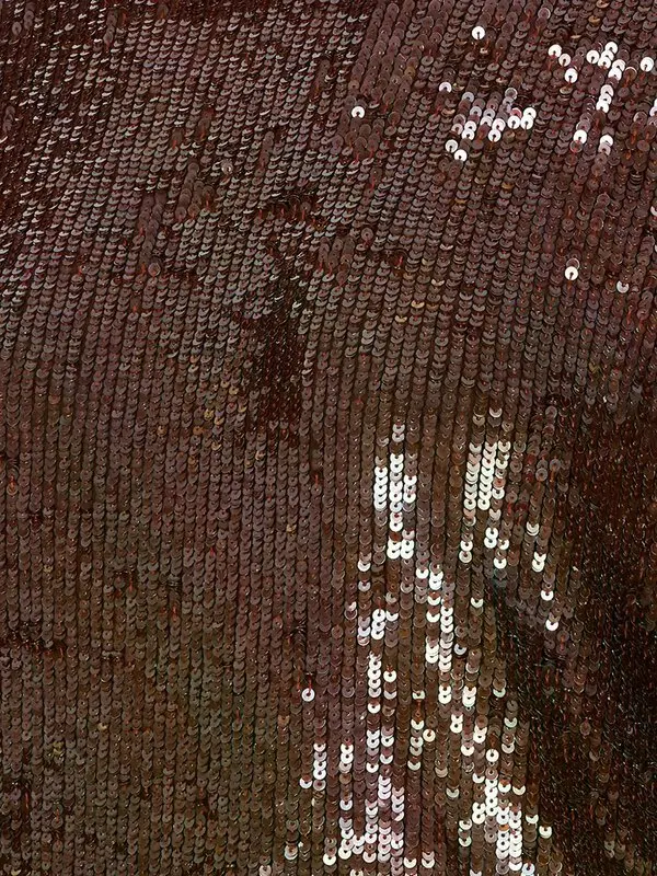 P.a.r.o.s.h Sequin Embellished T-shirt - Brown