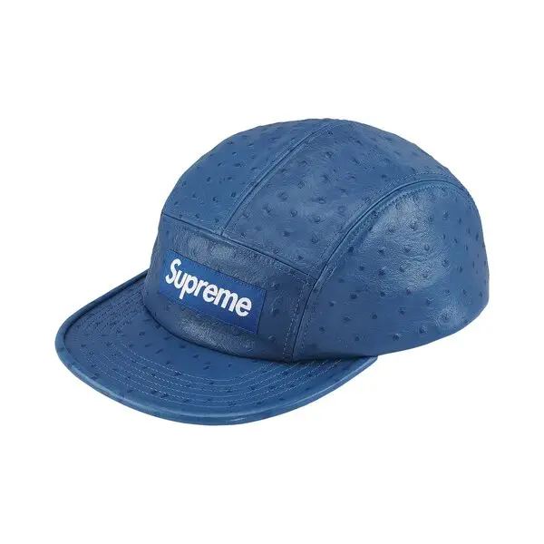 Supreme Ostrich Embossed Leather Gore-tex Camp Cap - Blue