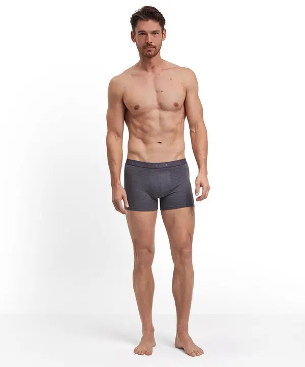 Falke 2-pack Boxer Daily Comfort - Grey