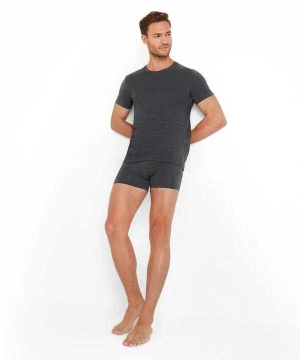 Falke T-shirt Daily Climawool - Grey