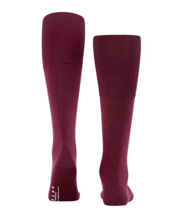 Falke Airport Knee-high Socks
