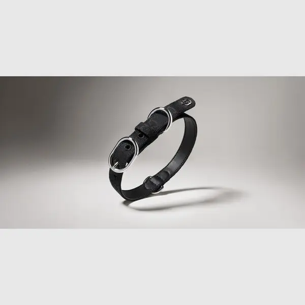 Gucci Pet Collar