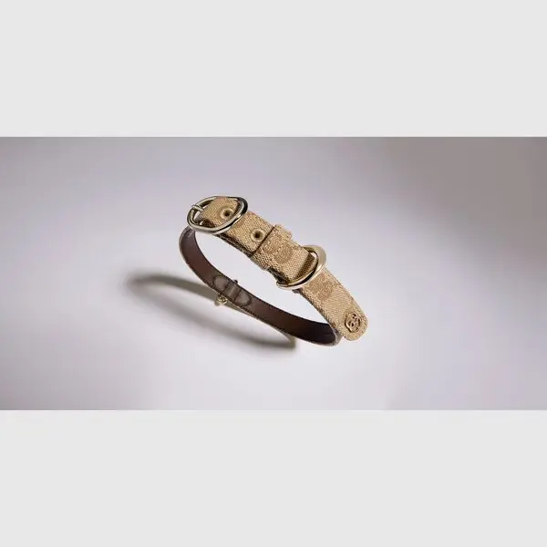 Gucci Gg Canvas Pet Collar