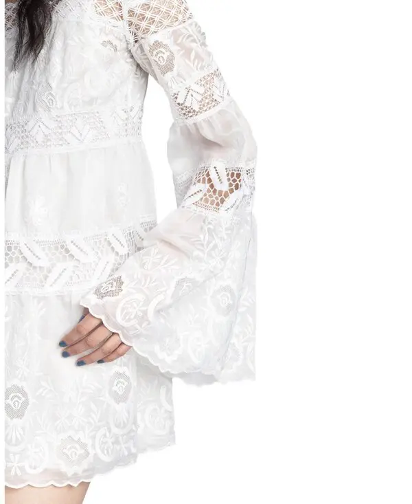 Anna Sui Cottage Rose Lace Mini Dress