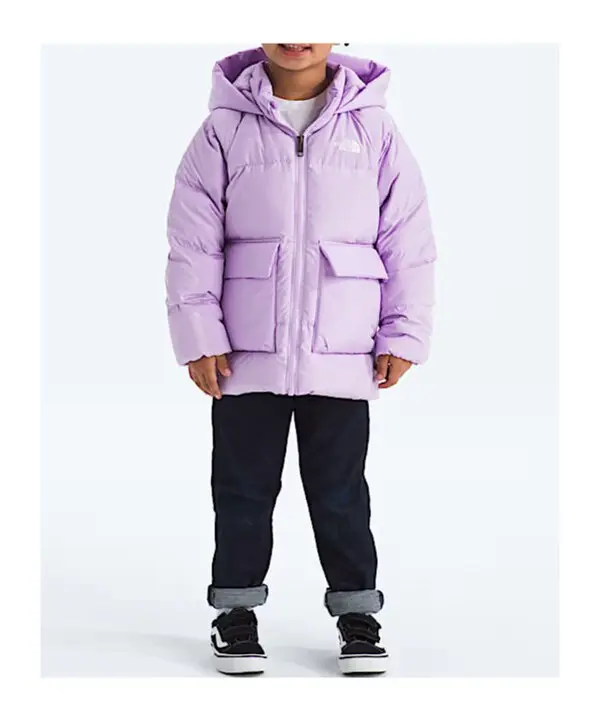 The North Face Hooded Down Parka