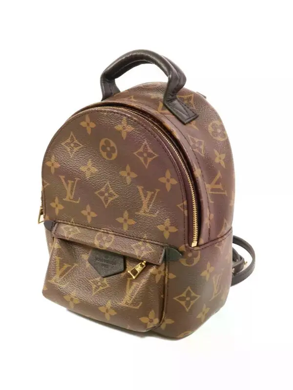 LOUIS VUITTON Palm Springs Backpack