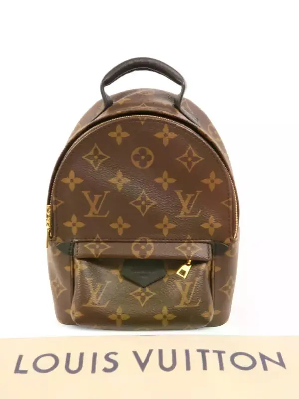 LOUIS VUITTON Palm Springs Backpack