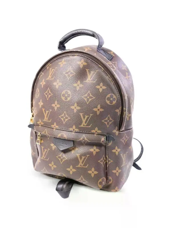 LOUIS VUITTON Palm Springs Monogram Backpack - Brown