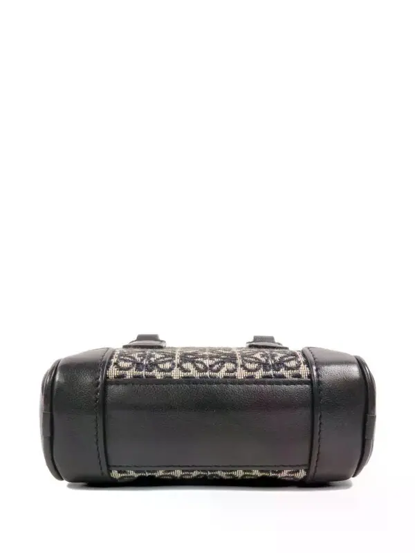 Loewe Amazona Nano Shoulder Bag