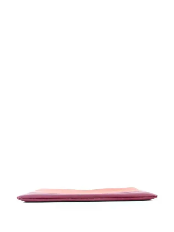 Celine Two-tone Leather Pouch