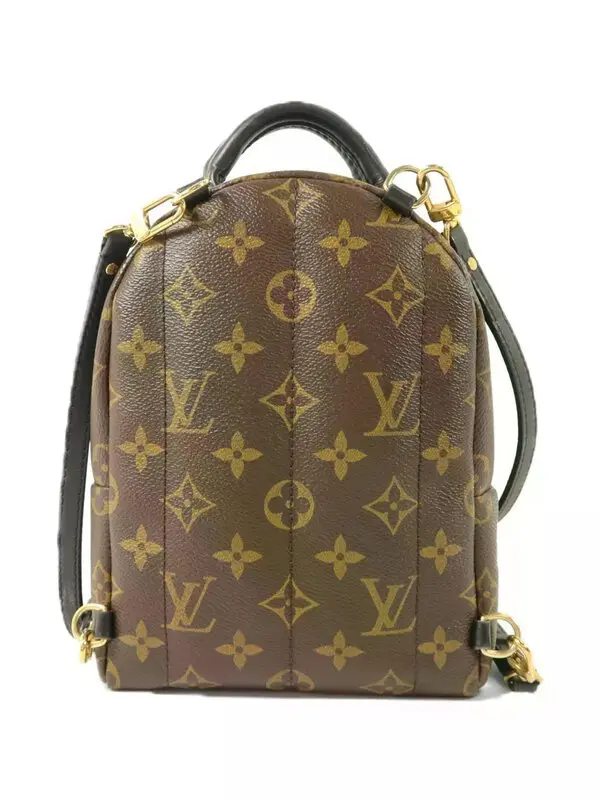 LOUIS VUITTON Palm Springs Backpack