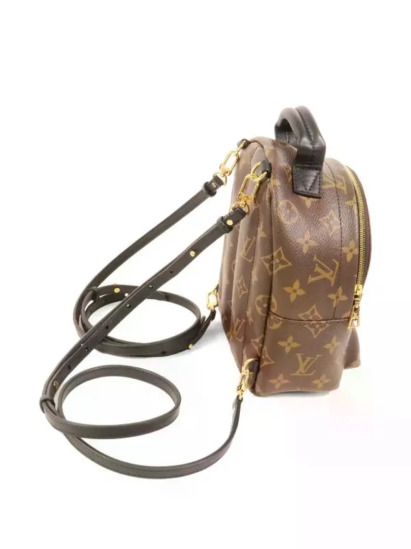 LOUIS VUITTON Palm Springs Backpack