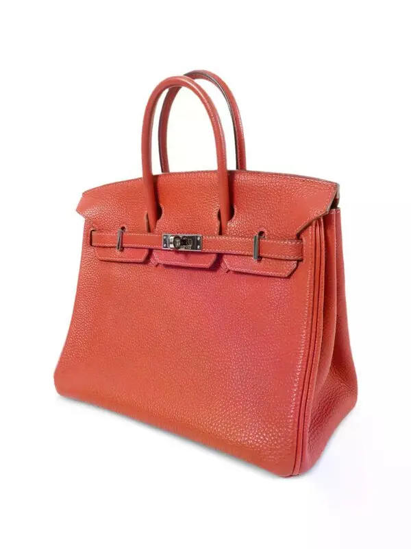 Hermès 25 Birkin Handbag