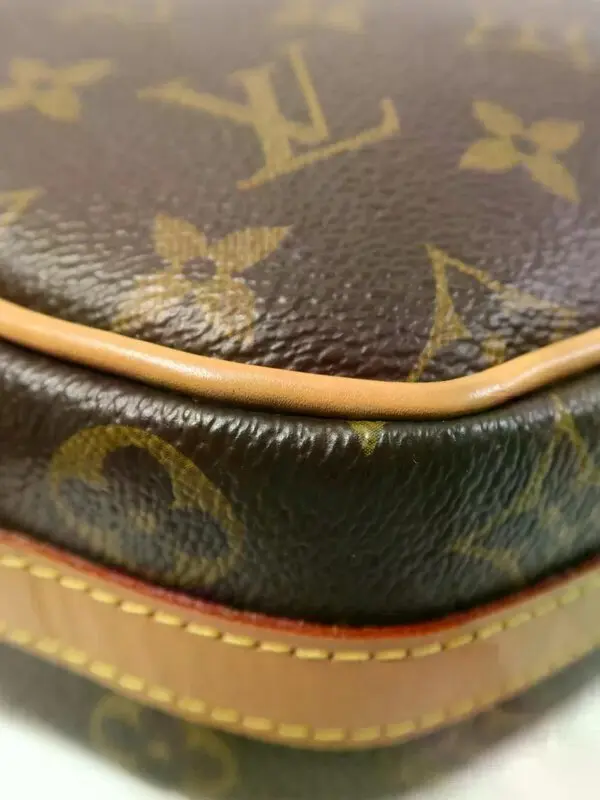LOUIS VUITTON Boîte Chapeau Souple Monogram Shoulder Bag