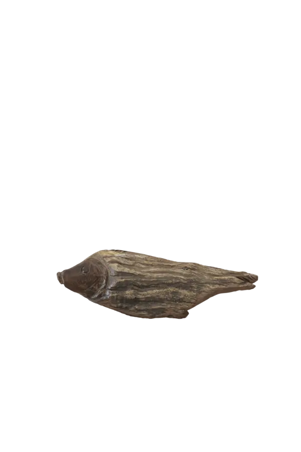 Botanical Boys Driftwood Hand Carved Fish Thirteen Two