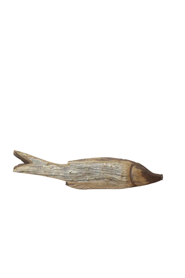 Botanical Boys Driftwood Hand Carved Fish Thirteen Three