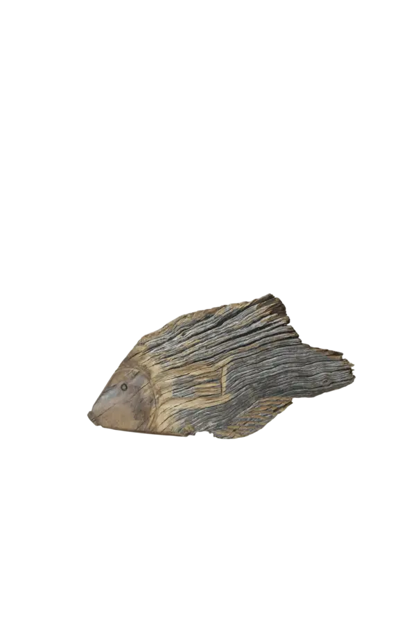 Botanical Boys Driftwood Hand Carved Fish Thirteen One