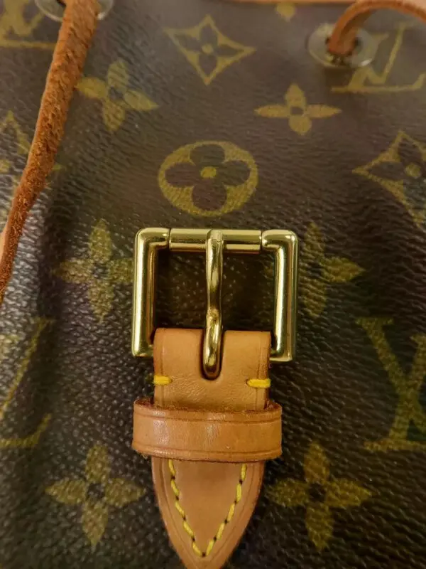 LOUIS VUITTON Montsouris Backpack